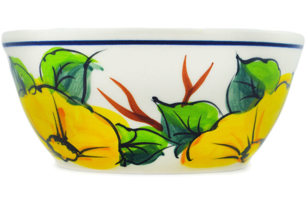 Polish Pottery & Boleslawiec Stoneware